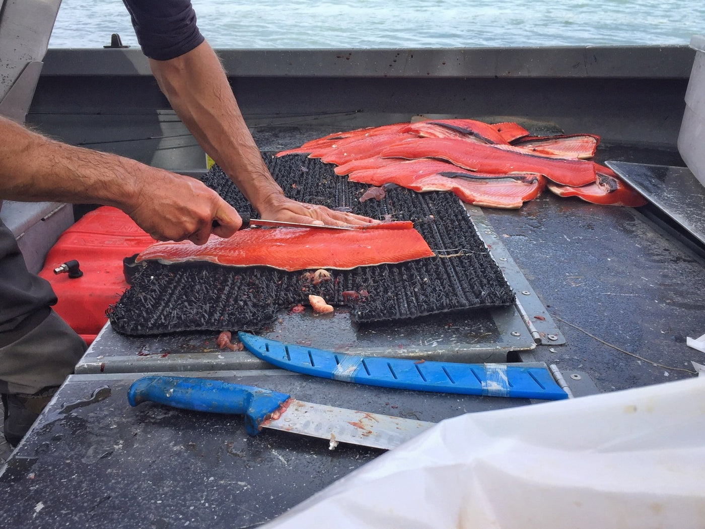 How to Correctly Filet a Fish – Stayput Anchor